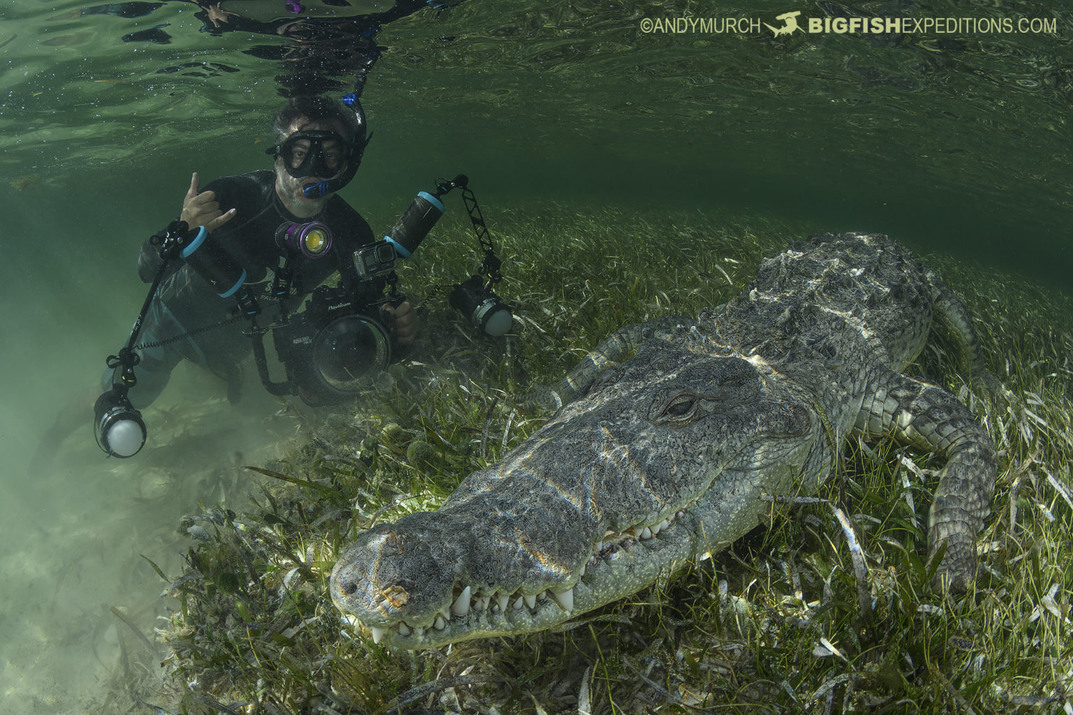 Crocodiles of Chichorro Atoll 2021 (week 1) | Big Fish Expeditions